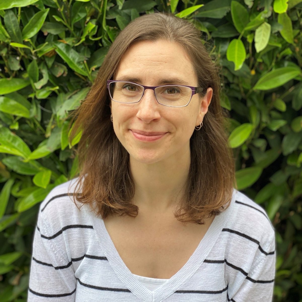 SESSION 2: Artificial General Intelligence Applied to Vehicle Safety ...